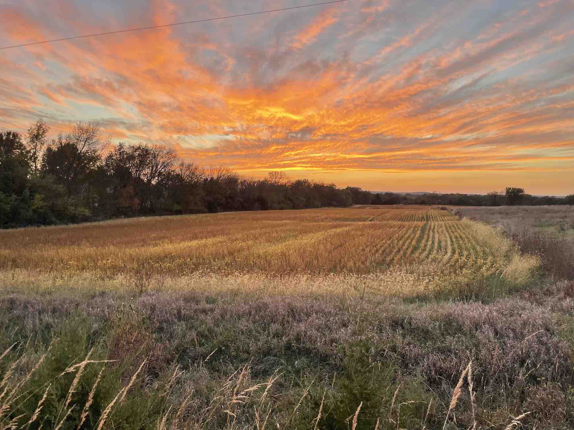 Landowners - Earn More Income From Your Land | Wing It