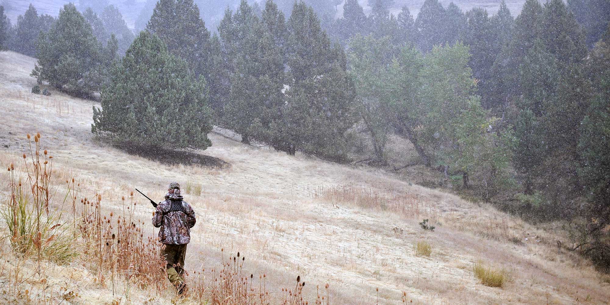 Hunting In Oregon - Where & What To Hunt | Wing It