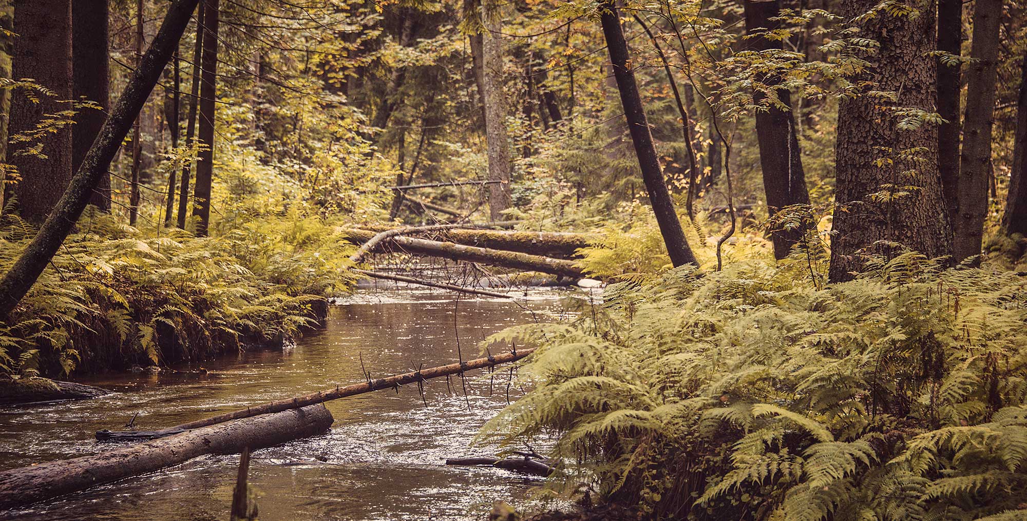 Freshwater Fishing In Washington - Best Public & Private Land | Wing It