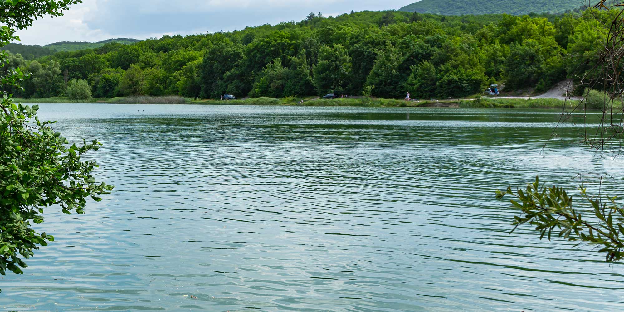 Freshwater Fishing In Connecticut - Best Public & Private Land | Wing It