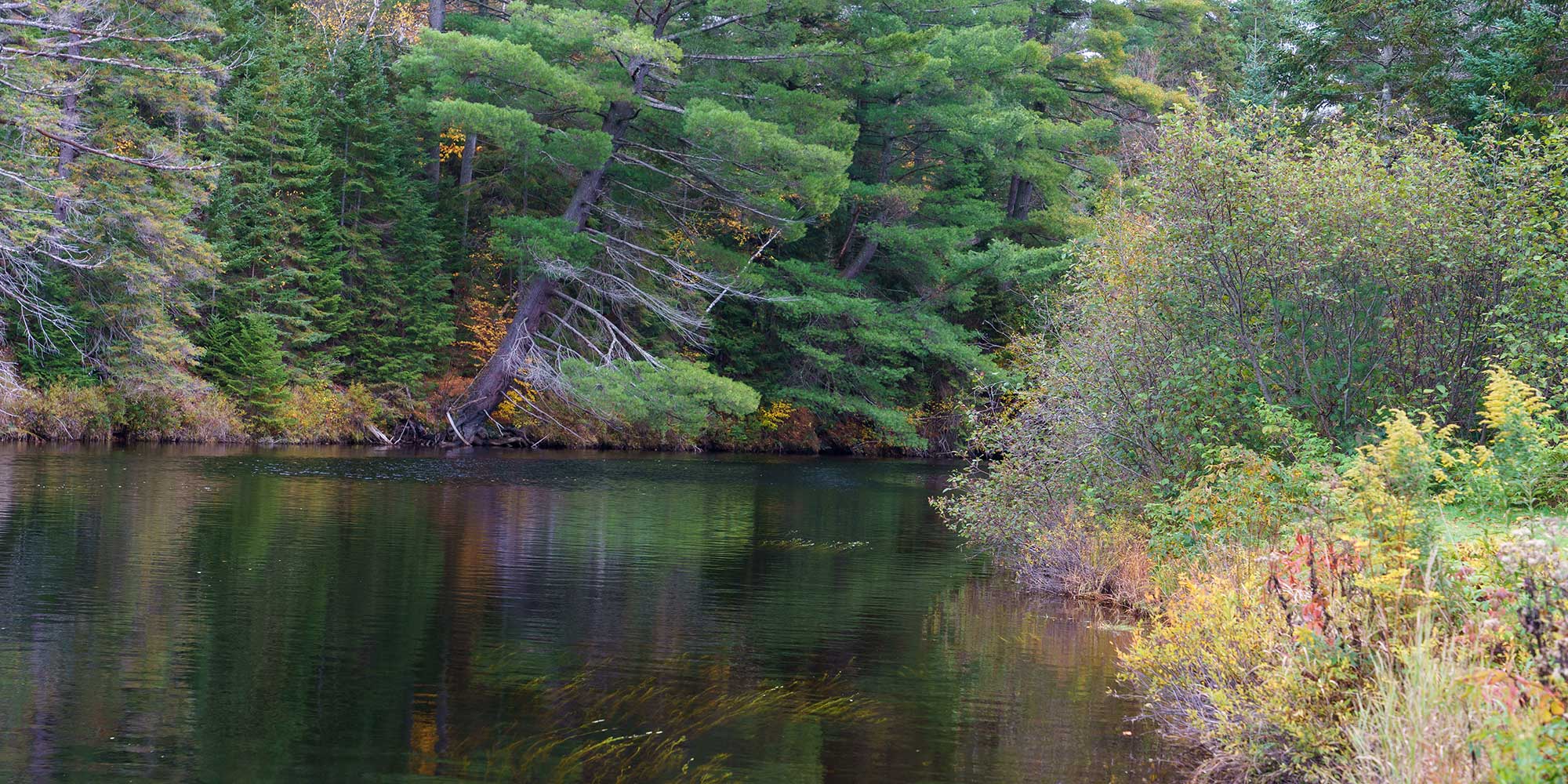 Freshwater Fishing In Oregon - Best Public & Private Land | Wing It