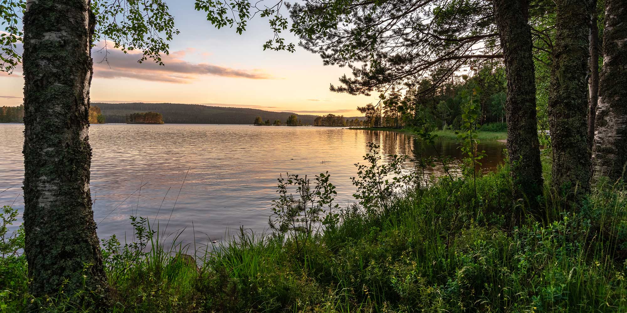 Freshwater Fishing In Virginia - Best Public & Private Land | Wing It